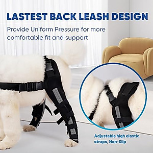 NATUYA Dog Knee Brace for Torn ACL Hind Leg, CCL, Luxating Patella, Dog Leg Braces with Side Stabilizers - Better Recovery and Prevent Licking, Relieves Joint Pain (Black, M)
