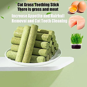 Generic Cat Grass Teething Sticks for Indoor Cats, 60/80 Pcs Chew Sticks for Cats for Hairball Removal, Cat Teeth Cleaning Cat Grass Sticks, Natural Grass Molar Rod for Cat Increase Appetite (60Pcs)