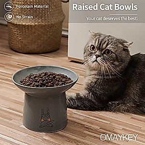 6.5 Inch Extra Wide Ceramic Raised Cat Bowls, Upgraded Elevated Porcelain Cat Food Water Bowl Dish, Stress Free Pet Feeder Bowls Dishes for Elder Big Cats & Small Dogs, White & Grey