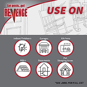 Bonide Revenge House Guard Foaming Insect Killer, 15 oz Ready-to-Use Aerosol Spray, Long Lasting Protection Indoors, Odorless and Nonstaining