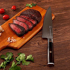 FAMCÜTE 8" Chef's Knife, Made of 67 Layers Damascus w/Octago Indonesian Ebony Handle Professional Japanese Gyuto Knife have Razor Sharp and Superb Edge Retention