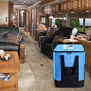 New Generation, Bed Bug Heater with Thermometer and Timer, Non-Chemical, Human and Pets Friendly, Widely Used for Household, RV, Travel