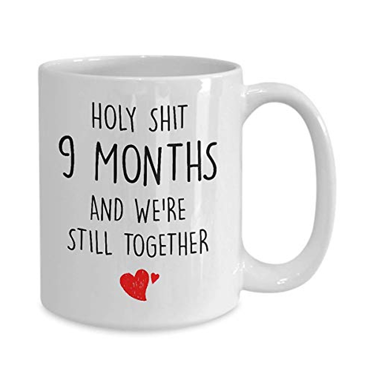 9 Month Anniversary Mugs Funny Quote Mug Gag Mug Funny Valentine's Day Mug for Husband Wife Boyfriend Girlfriend Men Women