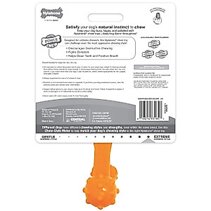 Nylabone Power Chew Axis Bone Chew Toy for Dogs, Dog Toys for Aggressive Chewers, Bacon Flavor, X-Large/Souper - 50+ lbs. (1 Count)