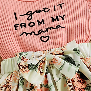 Newborn Infant Baby Girl Summer Outfit Clothes Floral Short Sleeve Romper Dress Ruffle Bodysuit Headband (Pink, 0-6 Months)