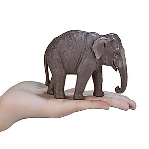 MOJO Asian Elephant Realistic International Wildlife Toy Replica Hand Painted Figurine, Grey (387266)