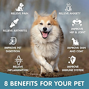 (2PACK) Hemp Oil for Dogs and Cats - Helps Pets with Anxiety, Stress Relief and Sеizures - Arthritis Hip Joint Pain Relief - Hemp Calming Drops Sleep Aid for Dogs