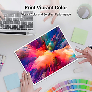 Dam Aila Ink Cartridge 950 Compatible for 950 Ink Cartridge with HP OfficeJet Pro 8600(2 Black, 1 Cyan, 1 Magenta, 1 Yellow, 5 Pack)