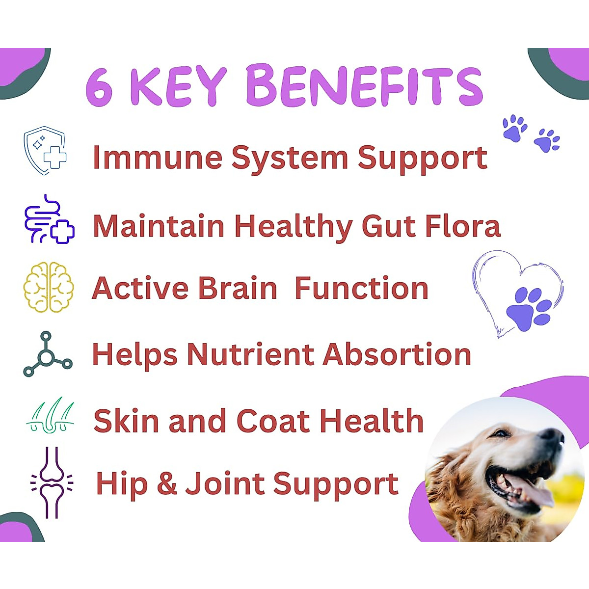 Freydell Pets Multivitamin Dog Supplement: Glucosamine Chondroitin, Probiotics, Omega Fish Oil, Skin and Coat Allergy Vitamins - Dog Supplements & Vitamins