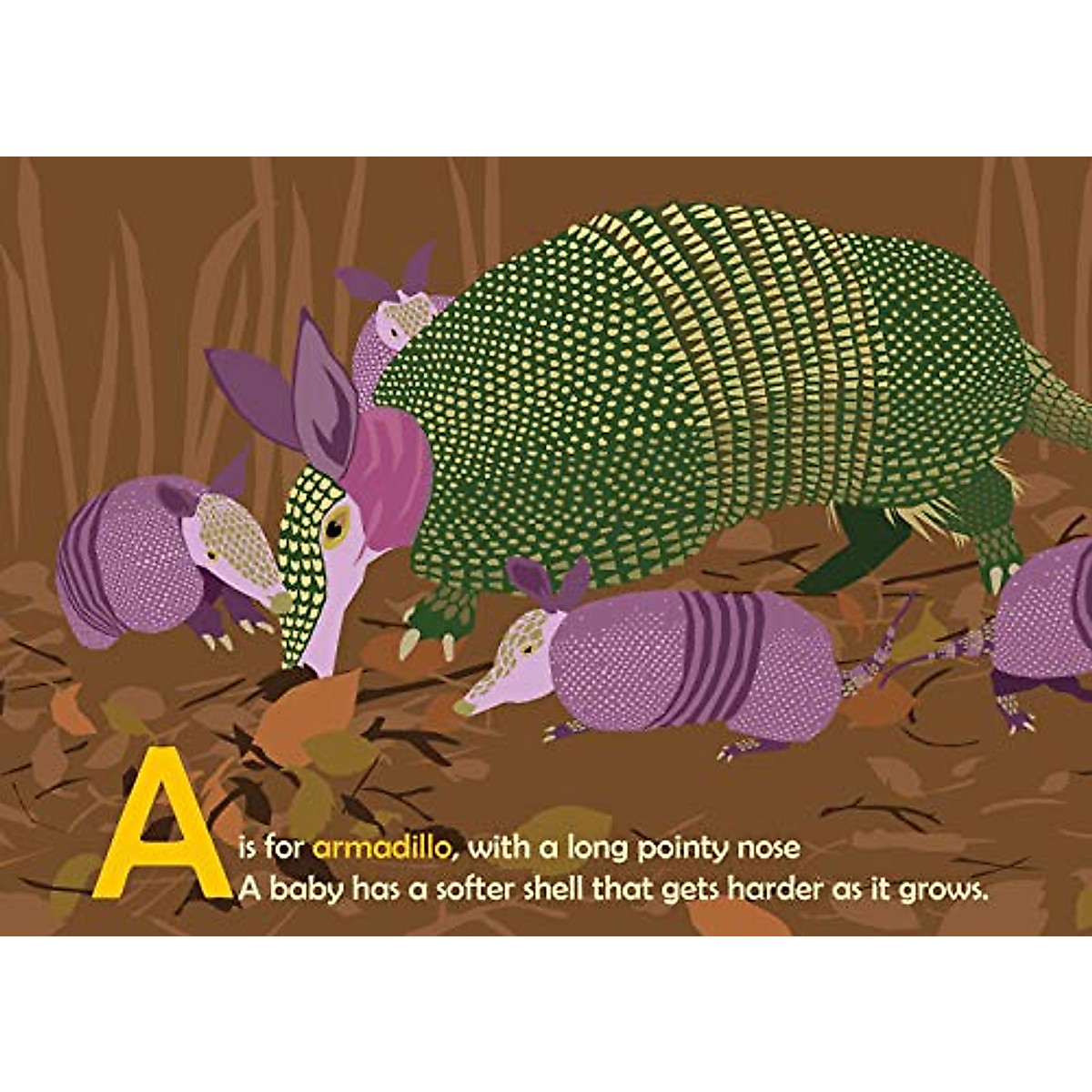 T is for Texas (Alphabet Places)