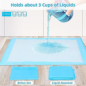 Super-Absorbent Waterproof Dog and Puppy Pet Training Pad, Housebreaking Pet Pad,Blue (28"X30"(100PCS))