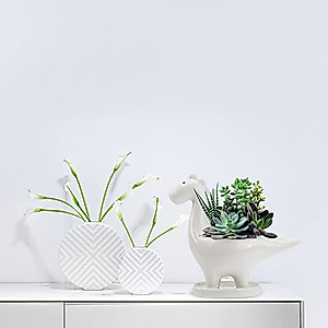 Succulent Flower Planters Dinosaur Adornment Plant Tray Desktop Drain Pots Decor Ceramics Planting Holder for Plants Bonsai Container Shop Cute Decorations Pen Vase Pot, Supplies
