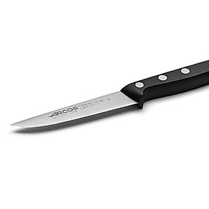 ARCOS Vegatable Knife 4 Inch Stainless Steel. Professional Vegetable Knife for Peeling Fruits and Vegetables. Ergonomic Polyoxymethylene Handle and 100 mm Blade. Series Universal. Color Black.