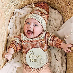 Winnie Baby Monthly Milestone Marker Discs Baby Announcement Sign Newborn Sign For Photo Prop Baby Shower Nursery Gift（16PCS）