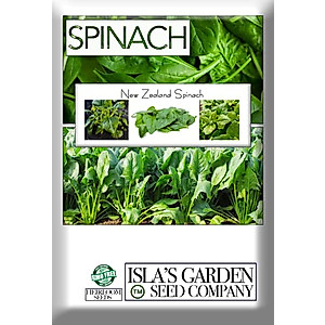New Zealand Spinach Seeds for Planting, 100+ Heirloom Seeds Per Packet, (Isla's Garden Seeds), Non GMO Seeds, Botanical Name: Tetragonia tetragonioides, Great Home Garden Gift
