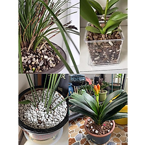 10QT Organic Perlite Horticultural Soil Amendment for Plants and Enhanced Drainage Enhanced