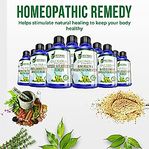 Glass Bottle Classic Tissue Cell Salt Kit All 12 Schussler Cell Salts Boost Your Immune System, Stimulate Natural Healing, Provide Cellular Nutrition Vital to Cellular Function