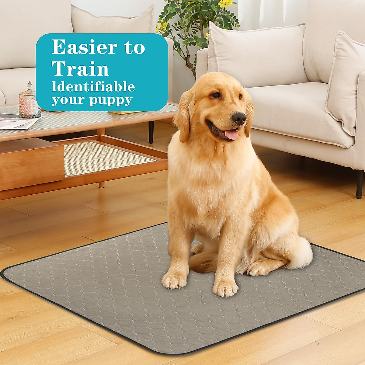 Bunlitent Washable Pee Pads for Dogs 24" x 36", 5 Pack, Reusable Puppy Pee Pads Washable, Dog Training Pads with Quick Dry, Large Anti-Slip Whelping Pad for Pet, Playpen, Incontinence, Housebreaking.