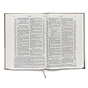 RVR 1960 Biblia de Estudio Scofield, tapa dura (Spanish Edition)