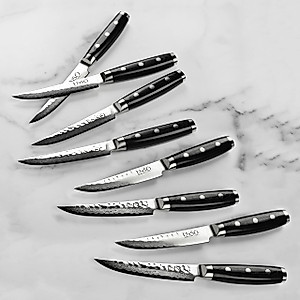 Enso Knife Set - Made in Japan - HD Series - VG10 Hammered Damascus Japanese Stainless Steel with Acacia Knife Block - 25 Piece
