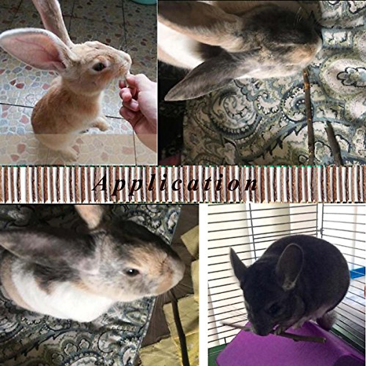 Bojafa 250g Apple Sticks Small Animals Molar Wood Treats Toys for Rabbits Chinchillas Guinea Pig Hamster Gerbil Parrot Bunny and Small Animals Chew Stick Toys Treats (250g, About 50 Pcs)