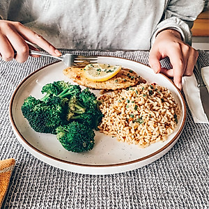 Mora 10.5-inch Porcelain Dinner Plate Set of 6 - Microwave/Oven/Dishwasher Safe, Scratch Resistant, Vanilla White