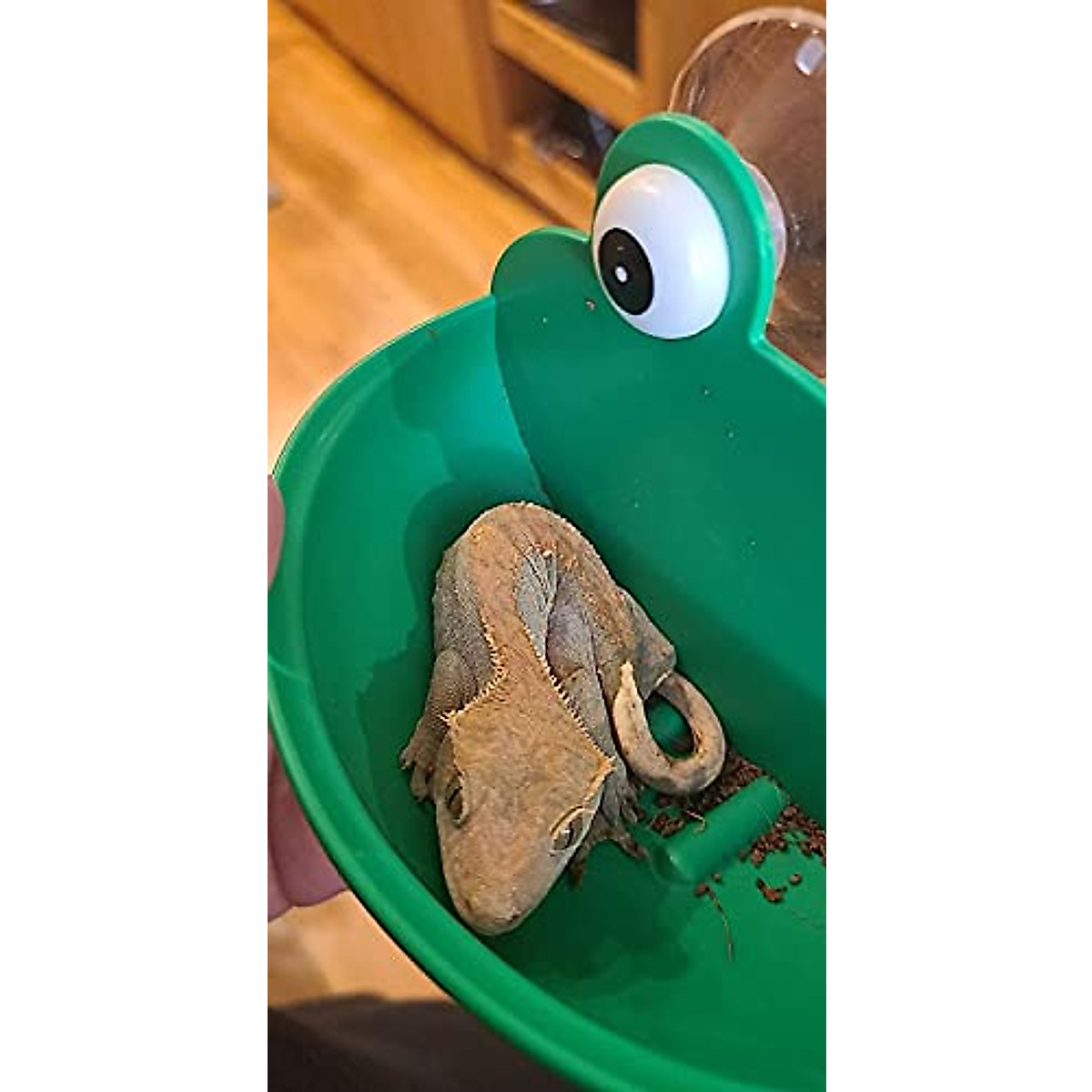 2 Pieces Frog Habitat with Dual Suction Cups Cute Fish Tank for Amphibian Aquatic Toad Frog Tadpole Tree Frog Small Aquatic Animals