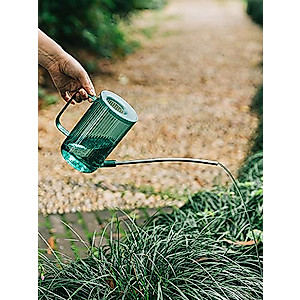 COTREPY Watering can, Long Nozzle, Watering Indoor Garden Plants, Modern Large Watering Globes, 1L (42.3fl Oz, 0.26 Gal), Suitable for Plants, Flowers, Bonsai, Gardens and Micro Landscapes(Green)