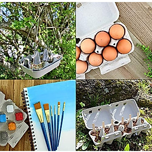 Cornucopia Half Dozen Egg Cartons (30-Pack); Split Apart Style for 6 Egg or 12 Egg Use; Holds 180 Eggs Total
