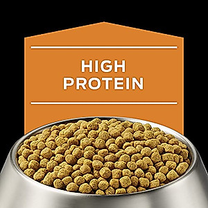 Purina Pro Plan Veterinary Diets OM Overweight Management Canine Formula Dry Dog Food - 18 lb. Bag