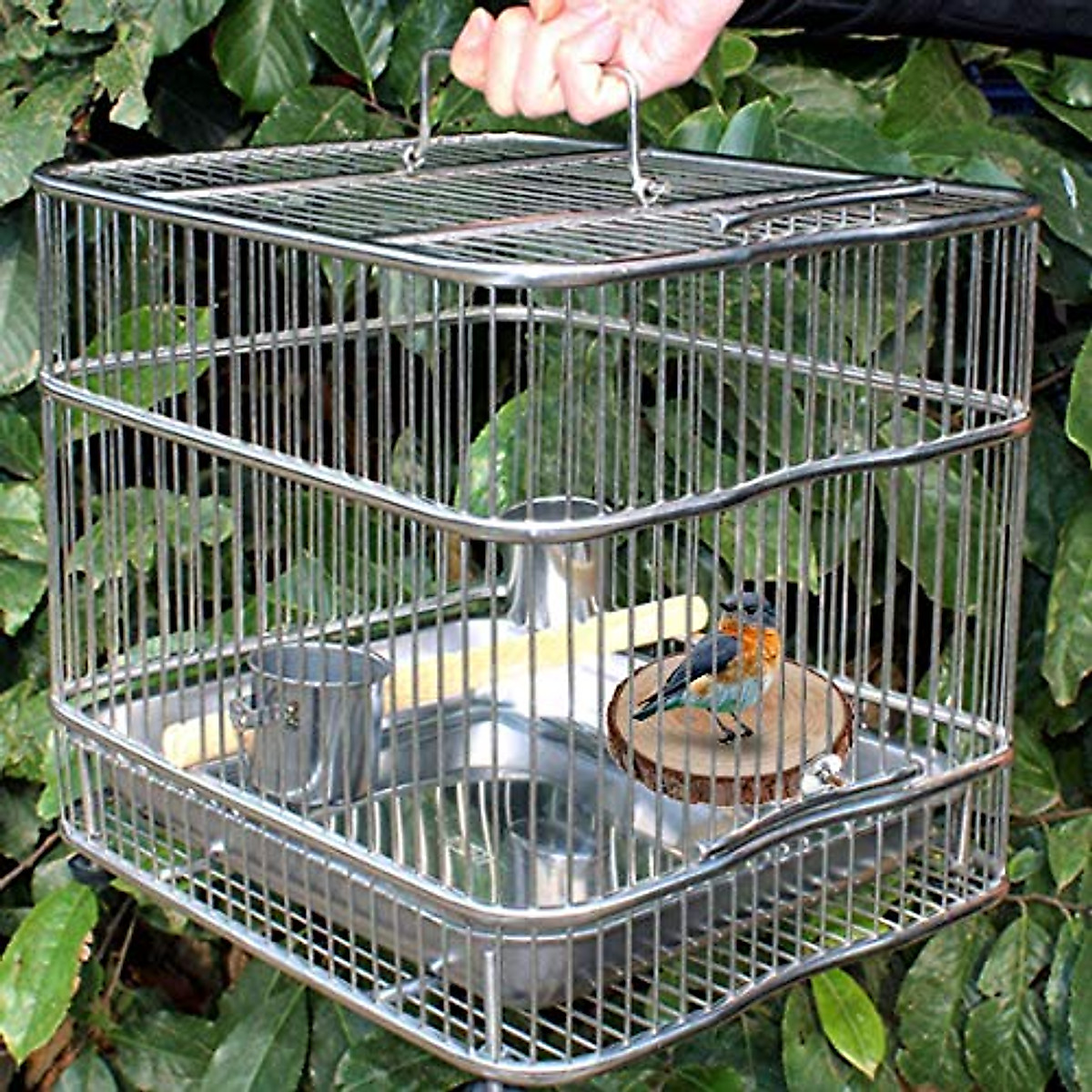 LOVEIFE 3 Pack Bird Perch, Round Wooden Platform Parrot Toys Bird Cage Accessories (Style1)