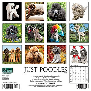 Just Poodles 2021 Wall Calendar (Dog Breed Calendar)