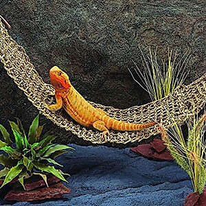 balacoo Bearded Dradon Hammock Natural Seagrass Fibers Reptile Lounger,Terrarium Tank Decoration Climber Vines for Anoles,Geckos,Iguanas and Hermit Crabs