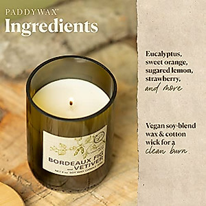 Paddywax Eco Collection Scented Soy Wax Jar Candle, 8-Ounce, Bordeaux Fig & Vetiver