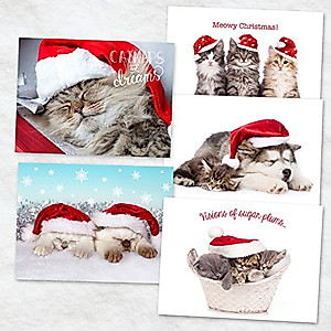 Christmas Cats Holiday Card Assortment Pack / 25 Seasonal Kitten Greeting Cards And Envelopes / 5 Sleeping Santa Animal Designs And Christmas Messages