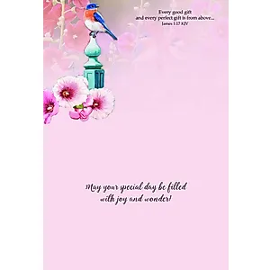 Crown Point Graphics Shared Blessings Birthday Birds 12 Boxed Birthday Cards, Beautiful Birds with KJV Scripture, Art by William Vanderdasson