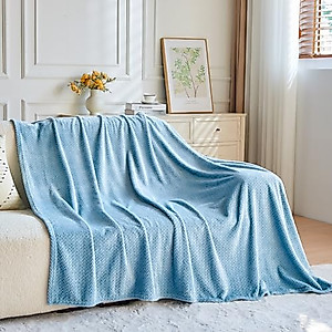 NEWCOSPLAY Super Soft Throw Blanket Light Blue Premium Silky Flannel Fleece Leaves Pattern Lightweight Bed Blanket All Season Use (Light Blue, Throw(40"x50"))