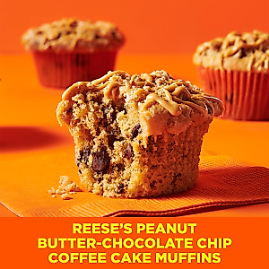 Betty Crocker REESE'S Peanut Butter Coffee Cake Mix with Brown Sugar Streusel Topping, 14.2 oz