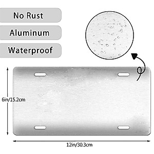 BOARLIDA American Football Design License Plate Durable Dallas Team Decorative Aluminum Car License Plate Covers for Women Girls Men Boys 12 X 6 Inch