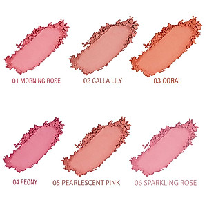 TINTARK Cheeky Blush Compact for Face Cheeks, Talc Free Blusher Palette, Matte Powder Makeup, Natural Healthy, Mauve Pink Magenta Peach Red, Vegan Cruelty Free