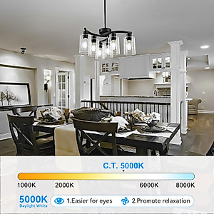 VOLIVO Edison Light Bulbs, Dimmable 7W Vintage LED Bulbs, E26 Medium Base, Daylight White 5000K, Ultra Bright, ST58, 60W Equivalent, 80+CRI,Clear Glass Filament Bulbs, Classic Antique Style 12 Pack