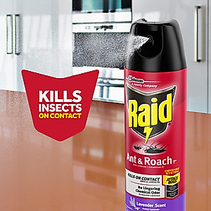Raid Ant & Roach Killer Spray For Listed Bugs, Keeps Killing for Weeks, Lavender Scent, 17.5 oz