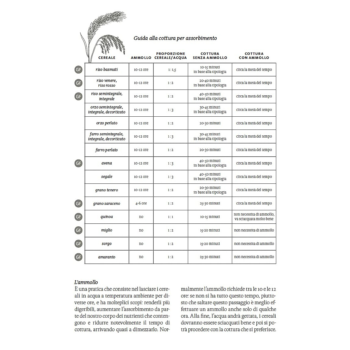 Vegetale, facile, veloce