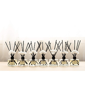 CULTURE & NATURE Reed Diffuser 6.7oz (200ml) Summer Peach Scented Reed Diffuser Set