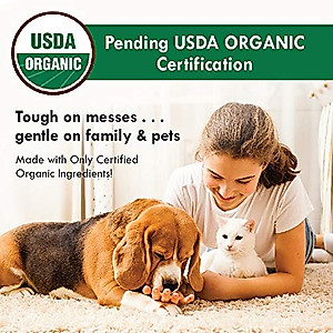 EcoPet All Natural Pet Odor and Stain Remover - Probiotic Powered Multi Surface Cleaner - Effective Non-Toxic Pet Odor Eliminator and Pet Stain Eraser, Scented, Trigger Spray, 16 oz