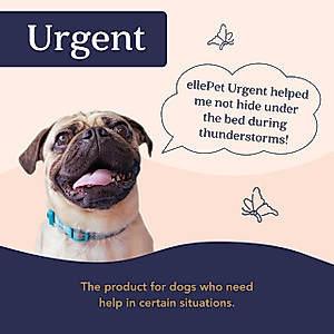 ellePet Urgent Situational Stress Hemp Chews 46mg per Chew - with Hemp Oil Blend - Fast, Effective Calming Support for Stress Events Such as Fireworks, Separation, Car Rides