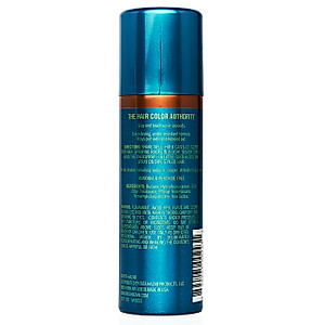 Rita Hazan Root Concealer Touch Up Spray - Instant Spray To Cover Up Roots - Quick Drying, Water-Resistant Formula - Temporary Hair Color Spray for Gray Roots - 2 oz. Root Spray