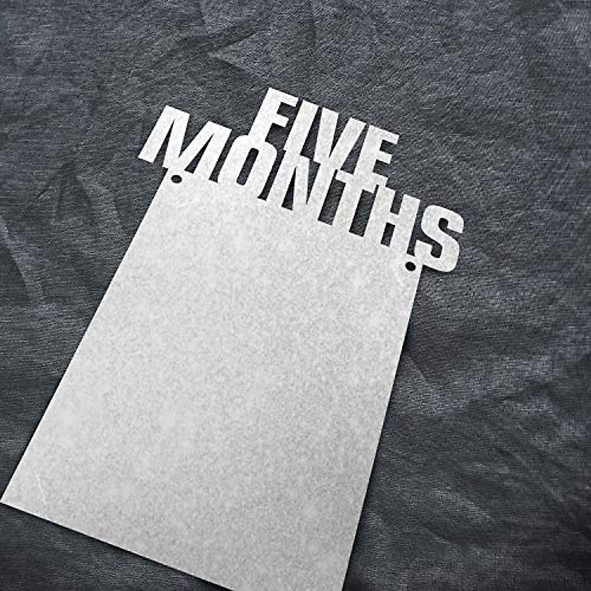 1st Birthday Baby Photo Banner - Perfect 1-12 Month Photo Prop Garland Bunting Baby Shower Party Decoration Glitter Silver