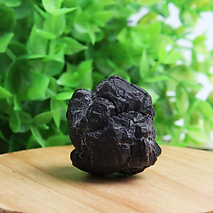 Acxico 2Pcs 30-50g Natural Egypt Black Diamond Quartz Crystal Specimen Raw Stone Decorate