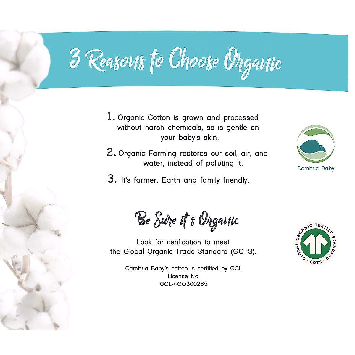 100% Organic Cotton Fitted Sheets for Graco Pack n Play, Babyletto, Pamo Babe, Hiccapop, Dream on Me, Evenflo, Baby Trend, Hygge Hush Portable/Mini Crib/Playards, and Beka Bedside Bassinet 2 Pk